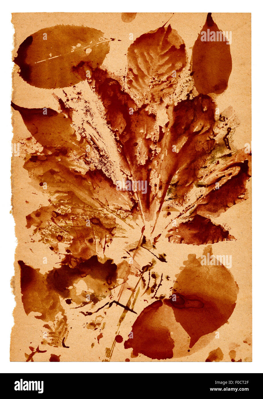 Leaf shapes on old paper sheet Stock Photo - Alamy