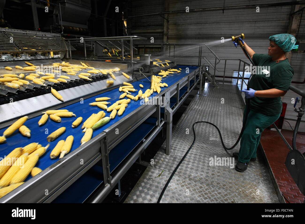 Canning Production Line Stock Photos & Canning Production Line Stock ...