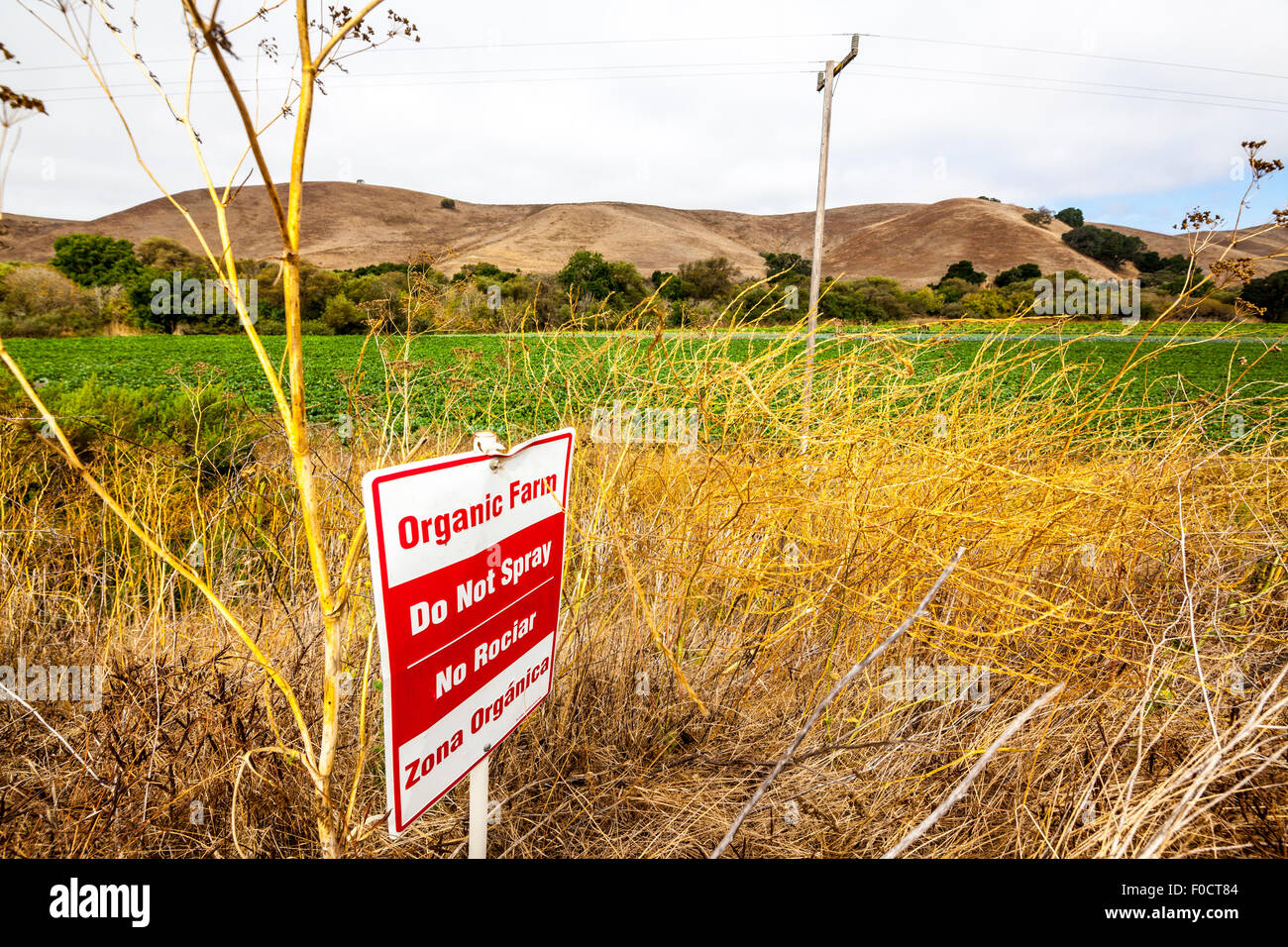 No pesticide hi-res stock photography and images - Alamy