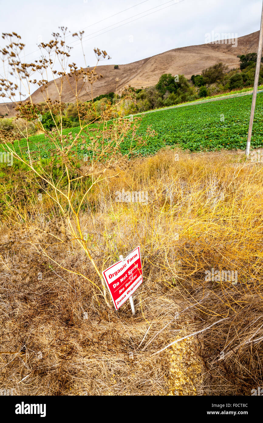 A sign asking for no spraying next to a field of Organic Squash near ...