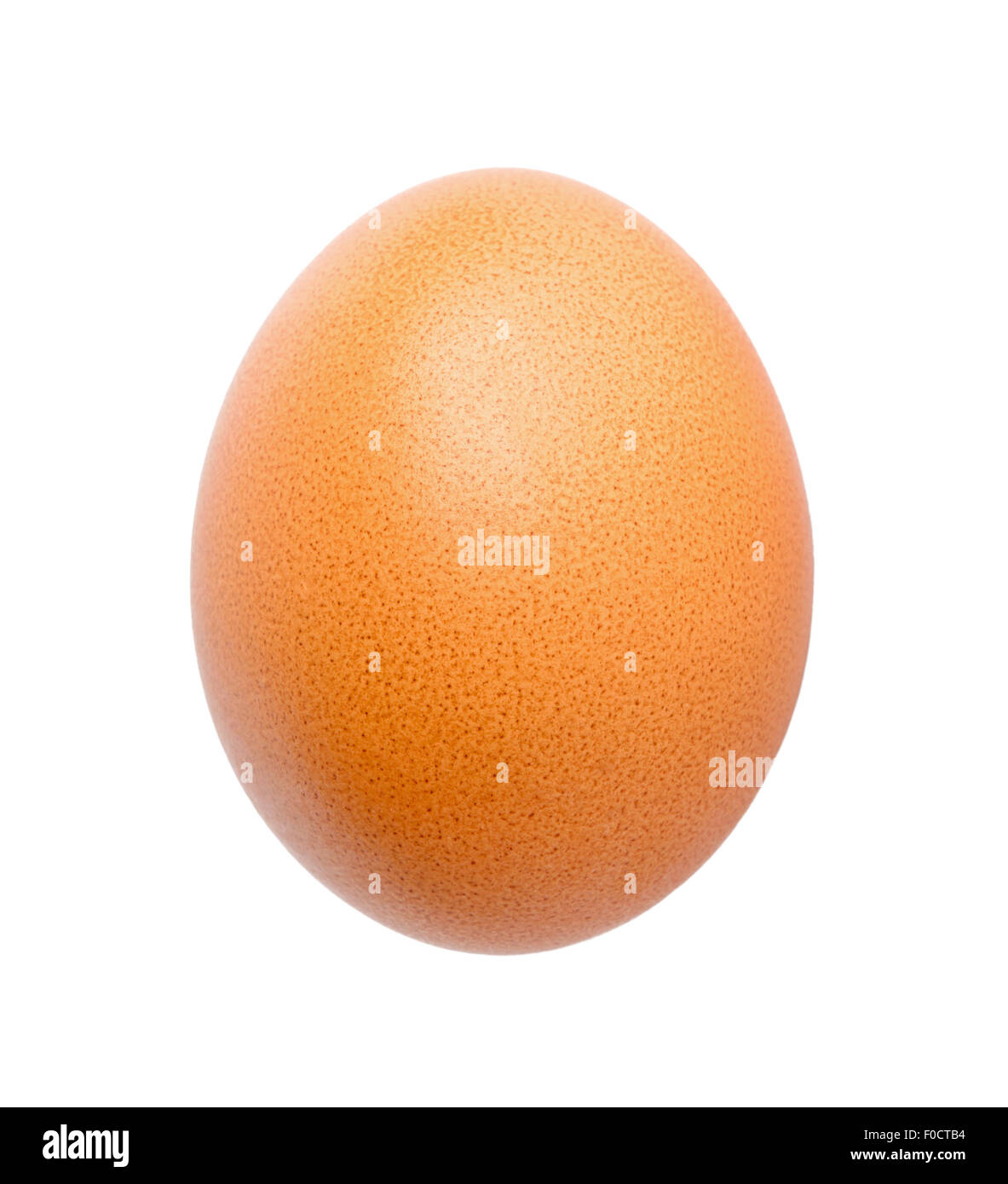Close up of egg on white background Stock Photo - Alamy