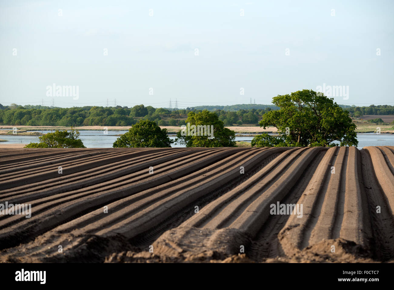 Agricultural land, Iken Cliffs, Suffolk, UK Stock Photo - Alamy