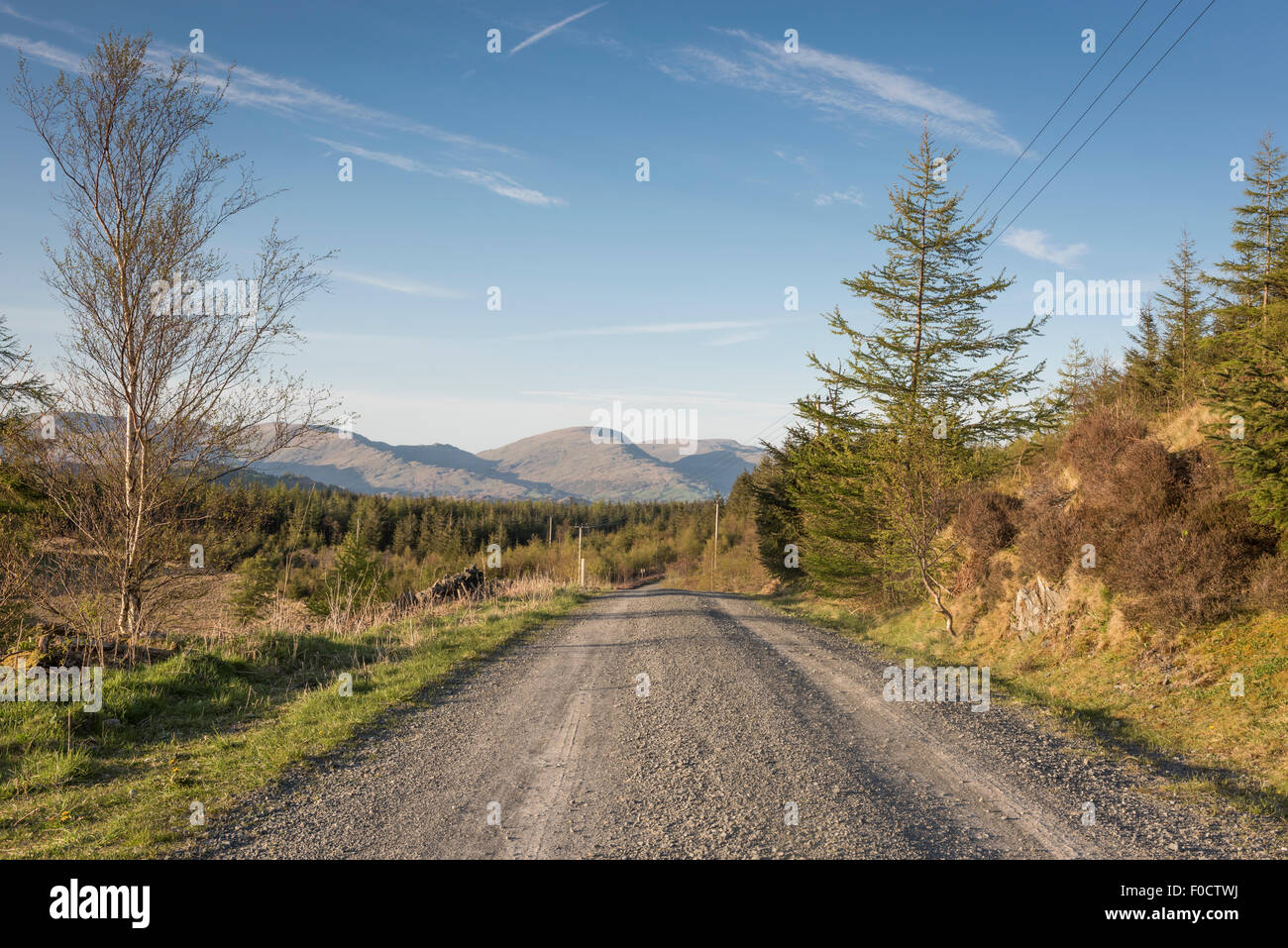 View towards Fairfield from High Park, Grizedale Forest, English Lake ...