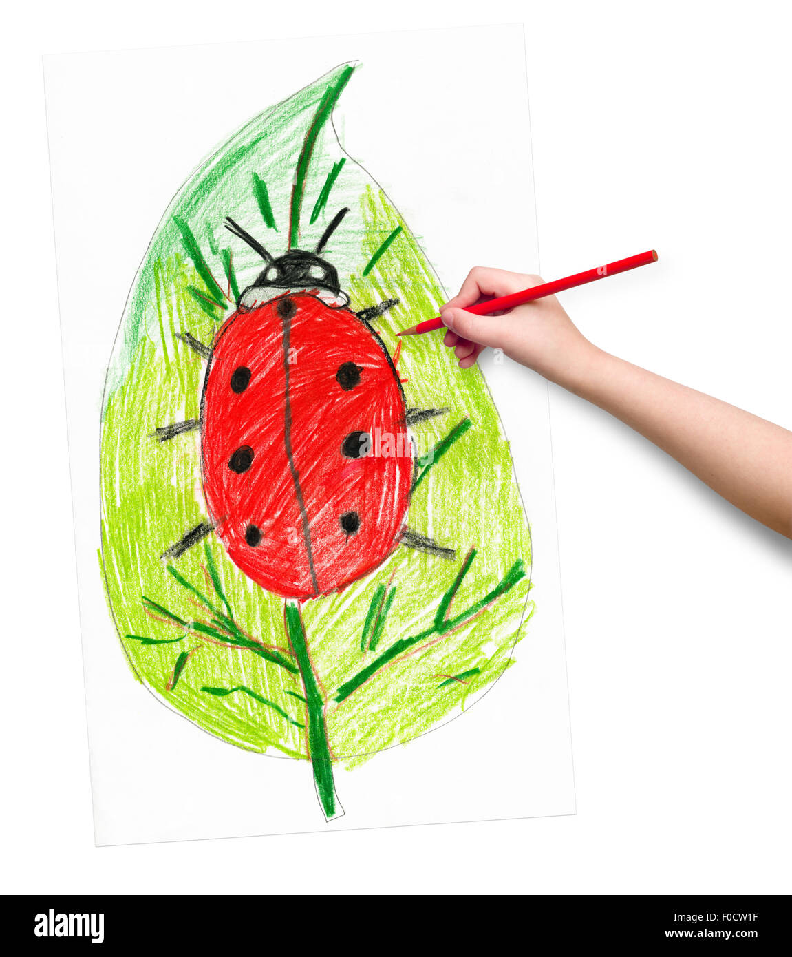 How To Draw A Ladybug For Kids