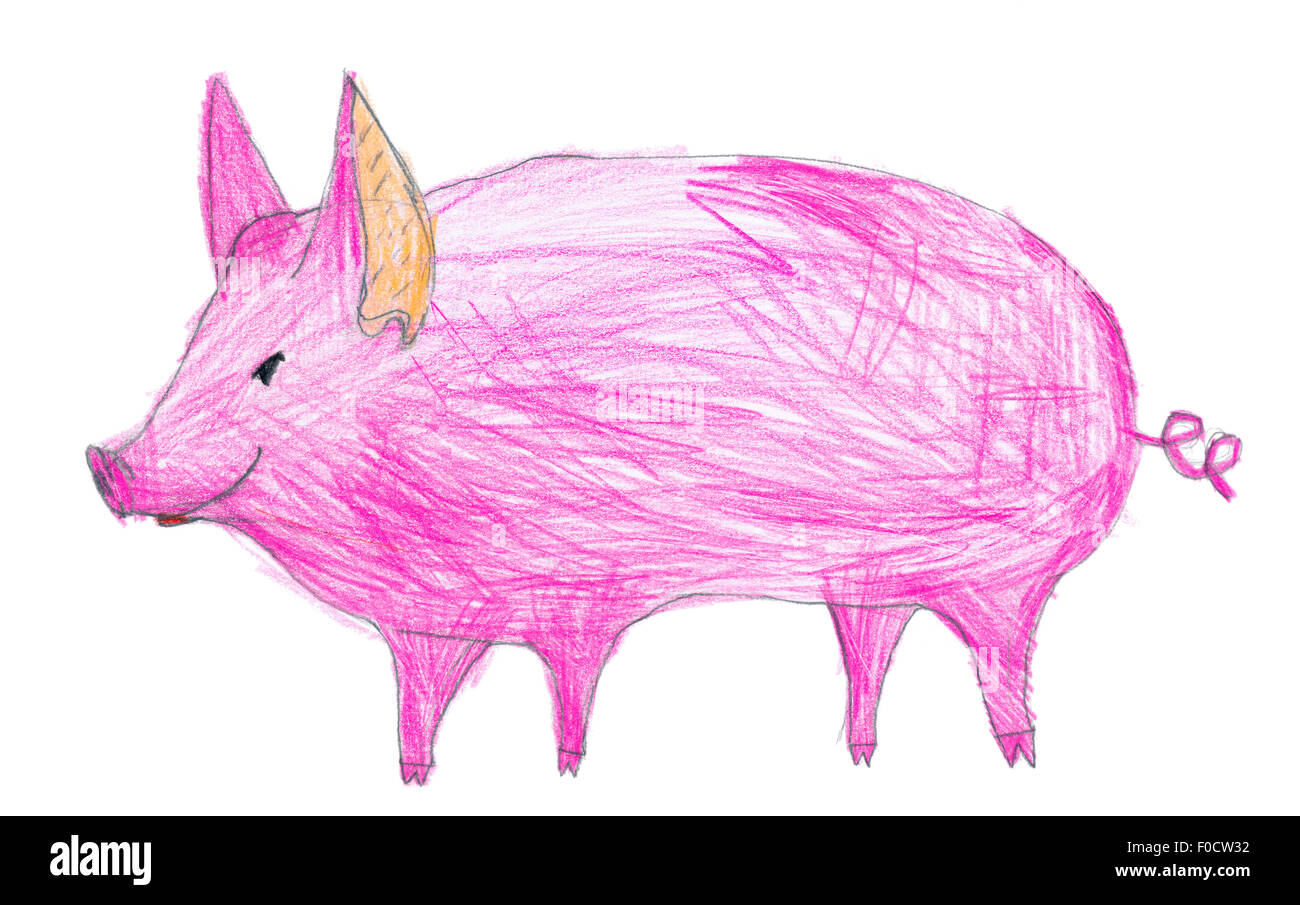 Pig Sketch Drawing