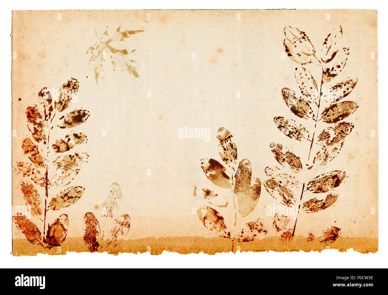 Leaf shapes on old paper sheet Stock Photo - Alamy