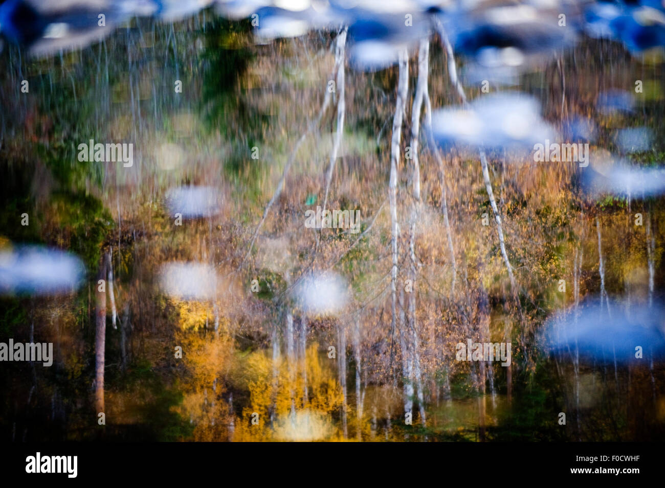 Orkla River High Resolution Stock Photography and Images - Alamy