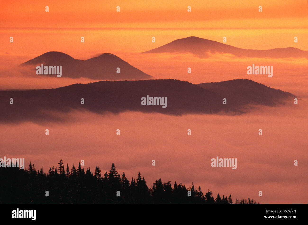 Wildcat ski resort hi-res stock photography and images - Alamy