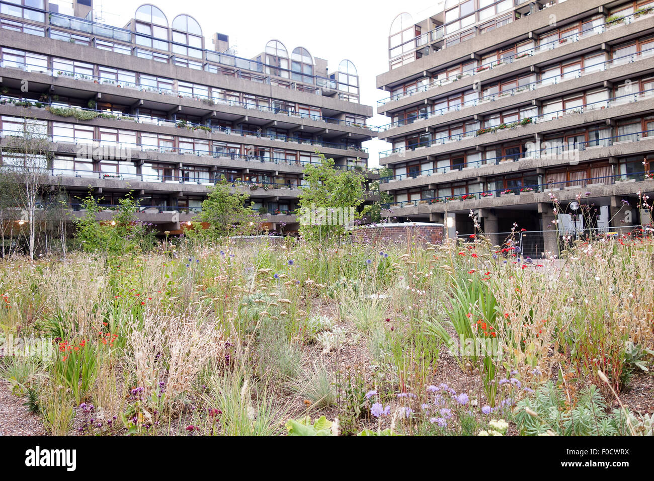 Bryer court hi-res stock photography and images - Alamy