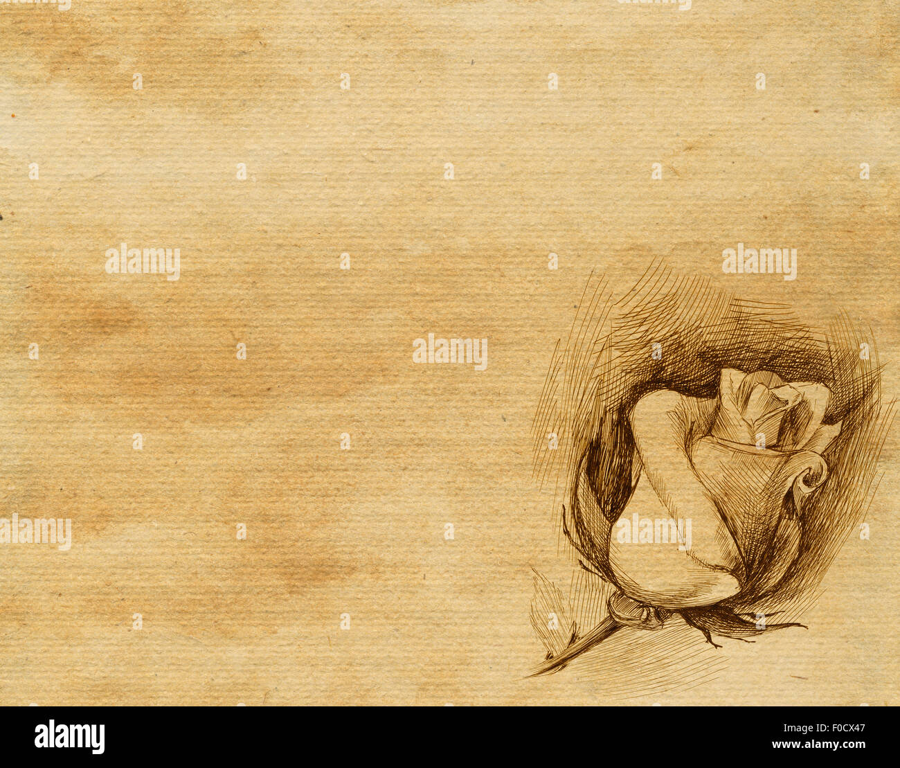 flower sketch on rough paper Stock Photo - Alamy