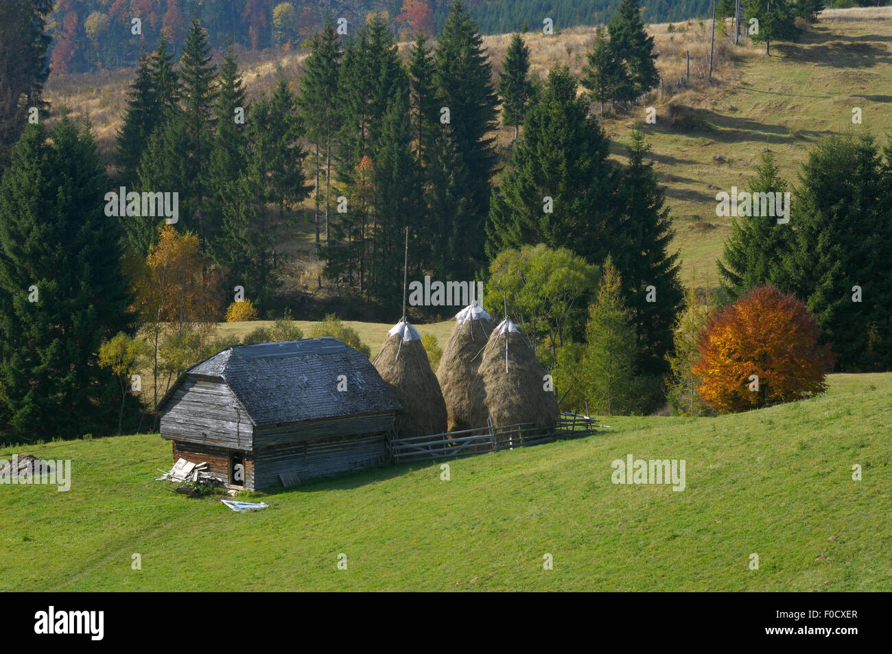 Barn and haystacks near Zarnesti, Transylvania, Southern Carpathian ...
