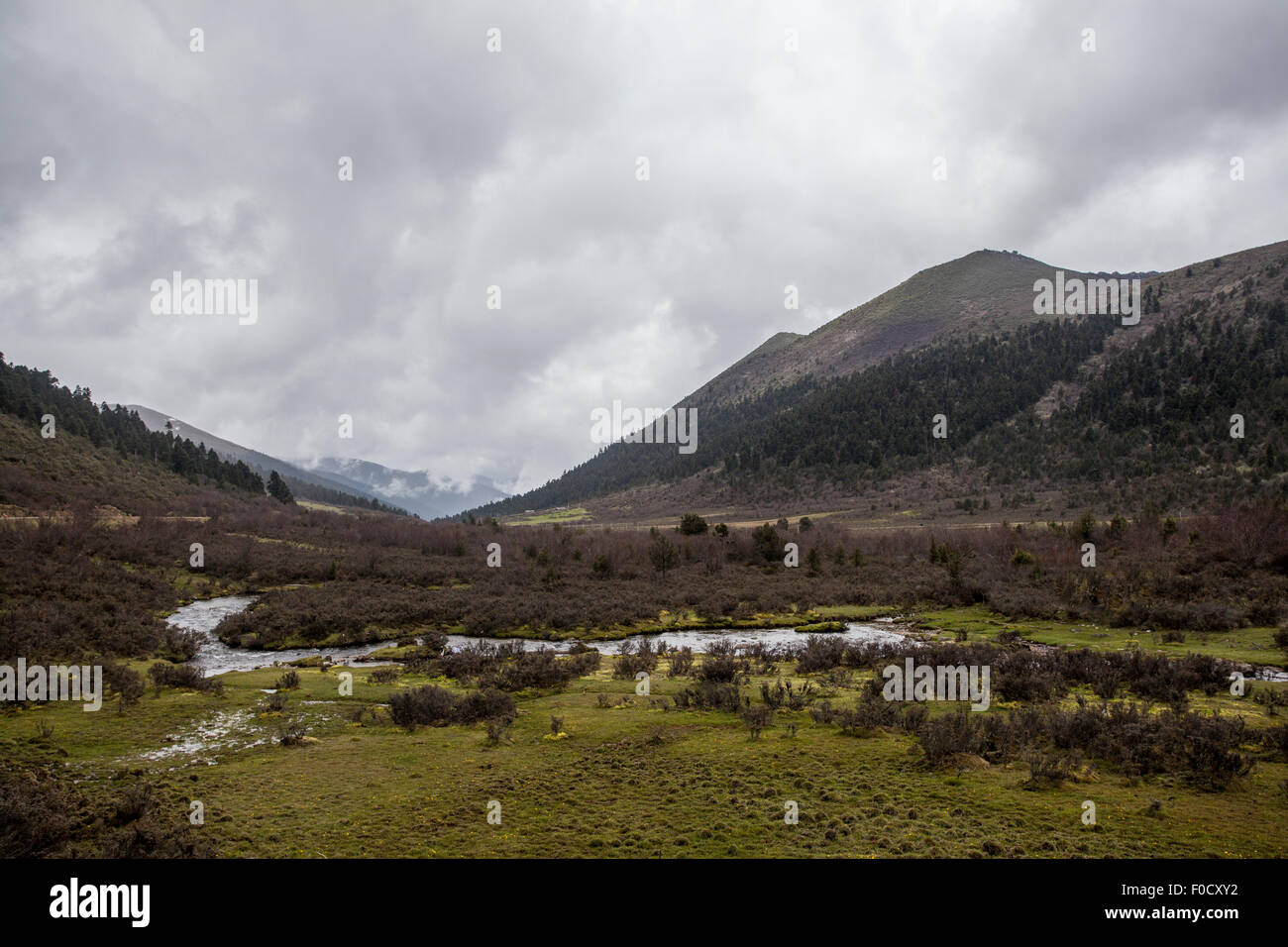 Beautiful shot shallow stream hi-res stock photography and images - Alamy
