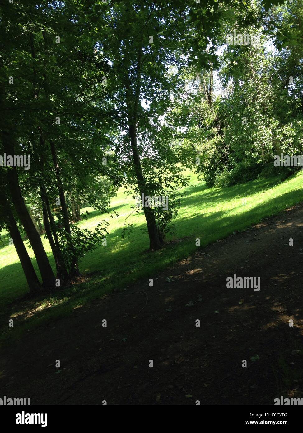 A photograph of summer's shade Stock Photo - Alamy