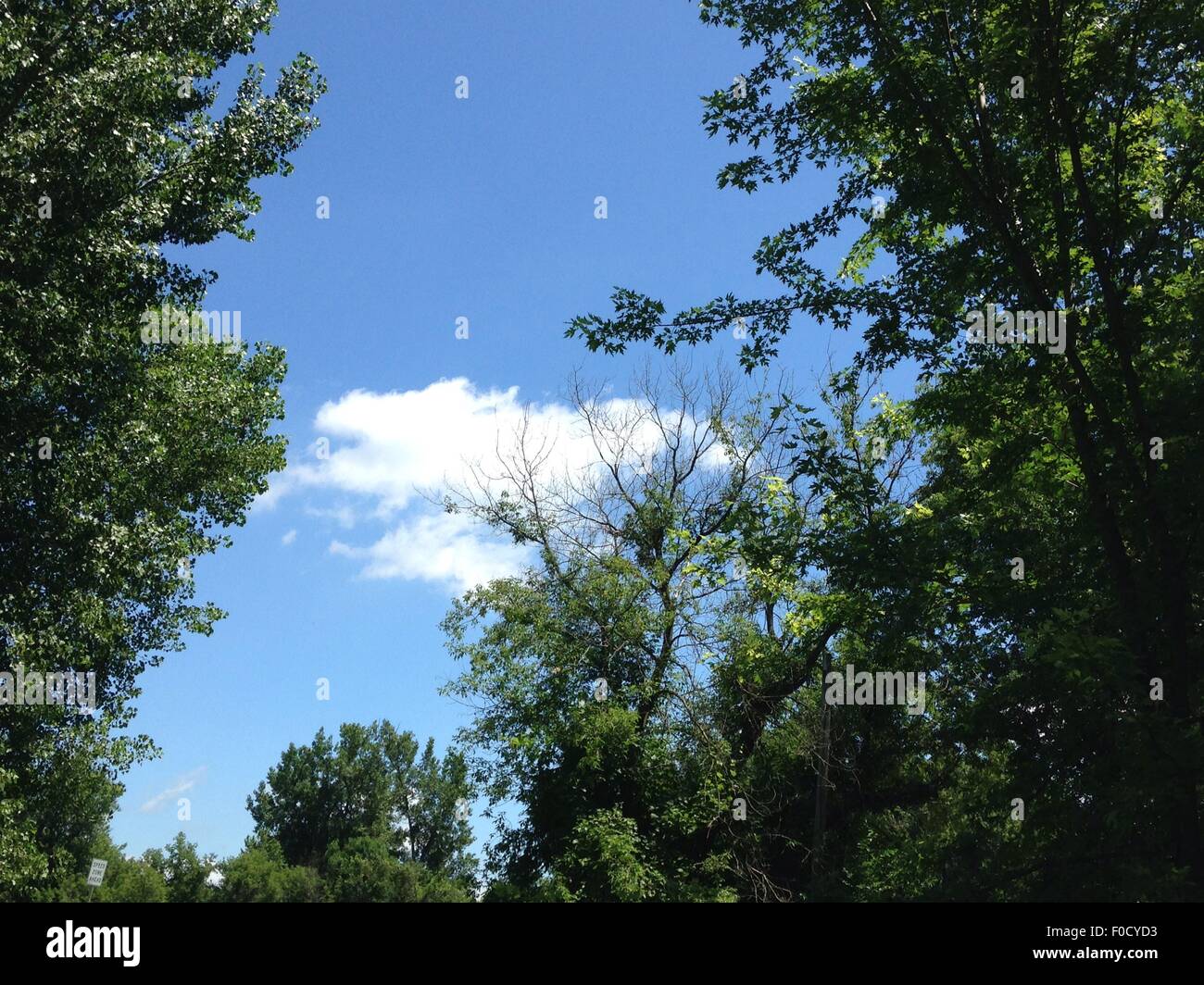 A photograph of the clear summer sky Stock Photo - Alamy