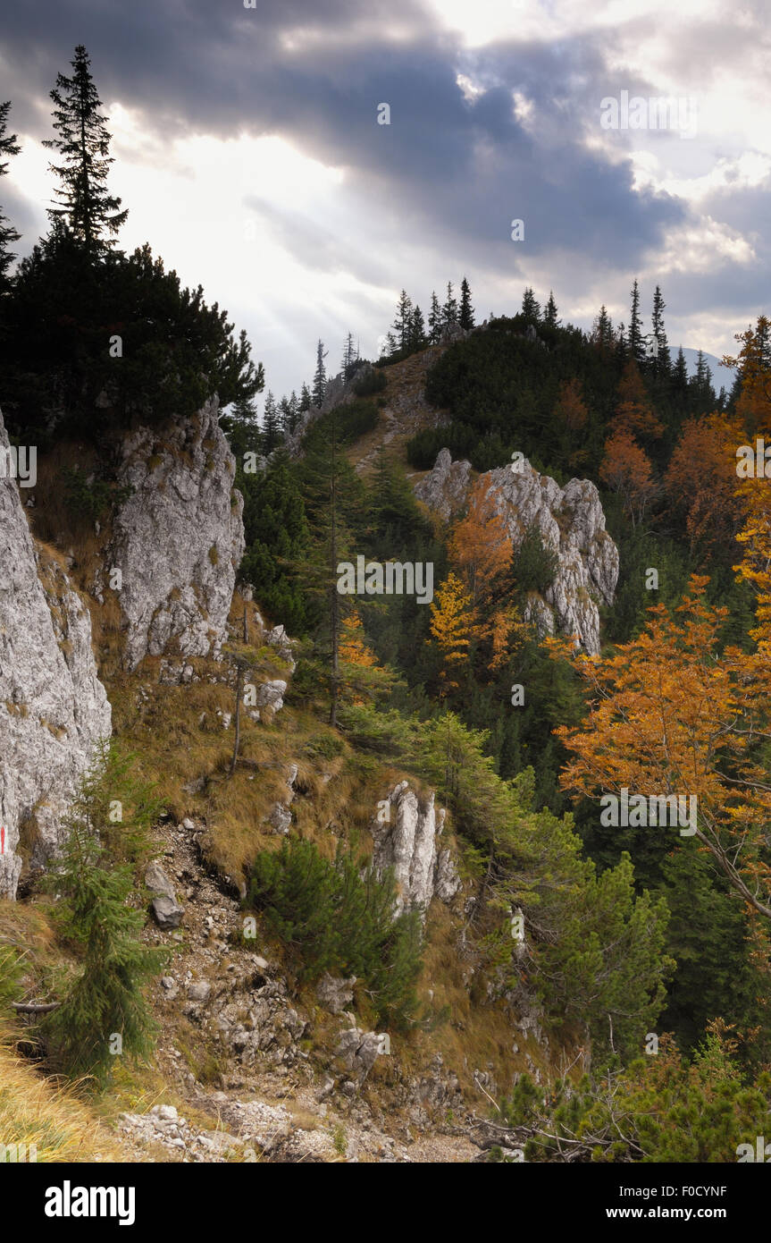 Rocky limestone area "La Zaplaz", Piatra Craiului National Park ...