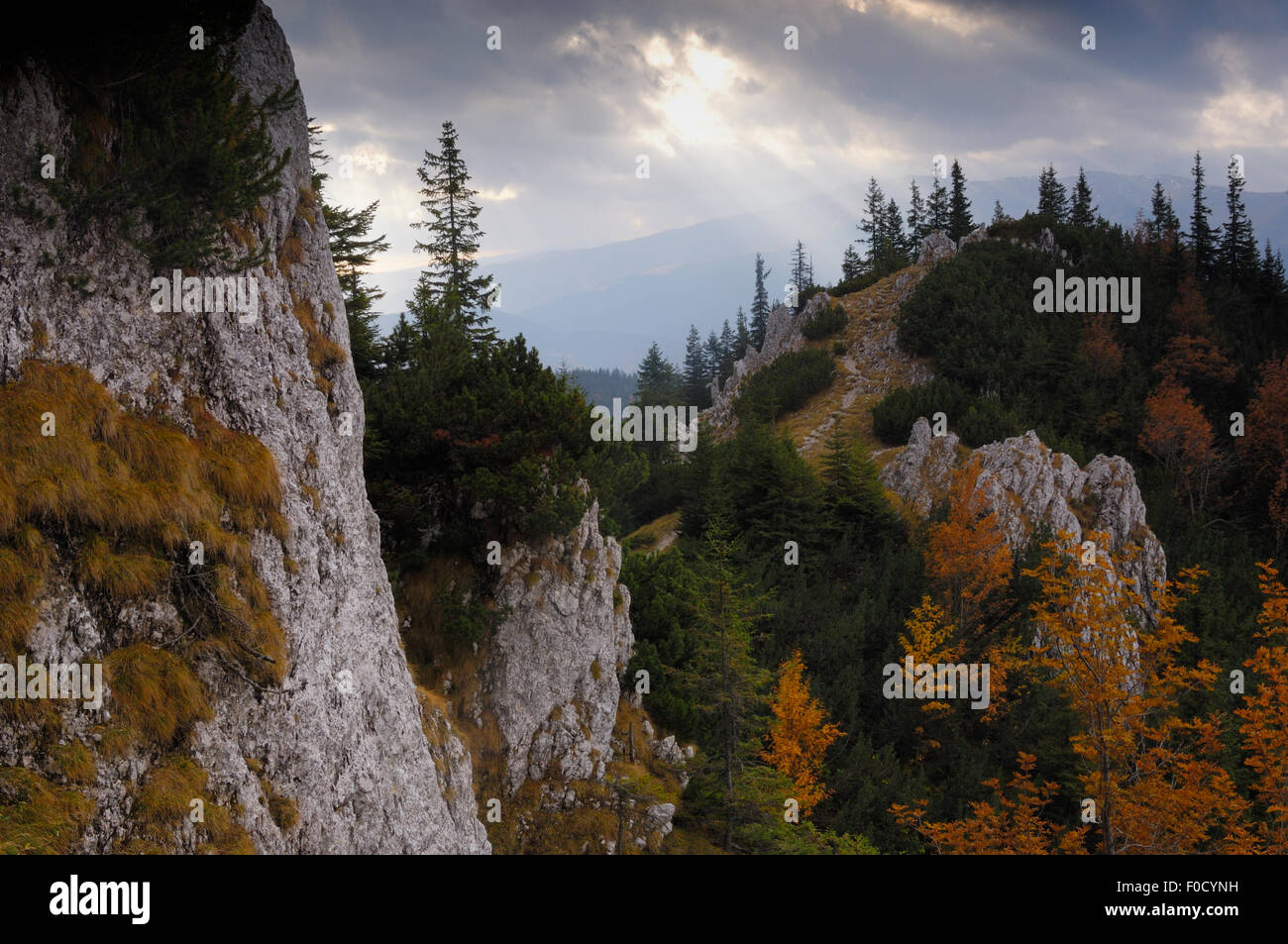 Rocky limestone area "La Zaplaz", Piatra Craiului National Park ...