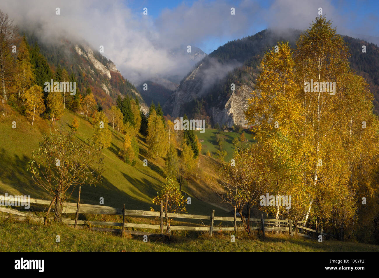 Rural landscape and Mt. Rock of the King, Piatra Craiului National Park ...