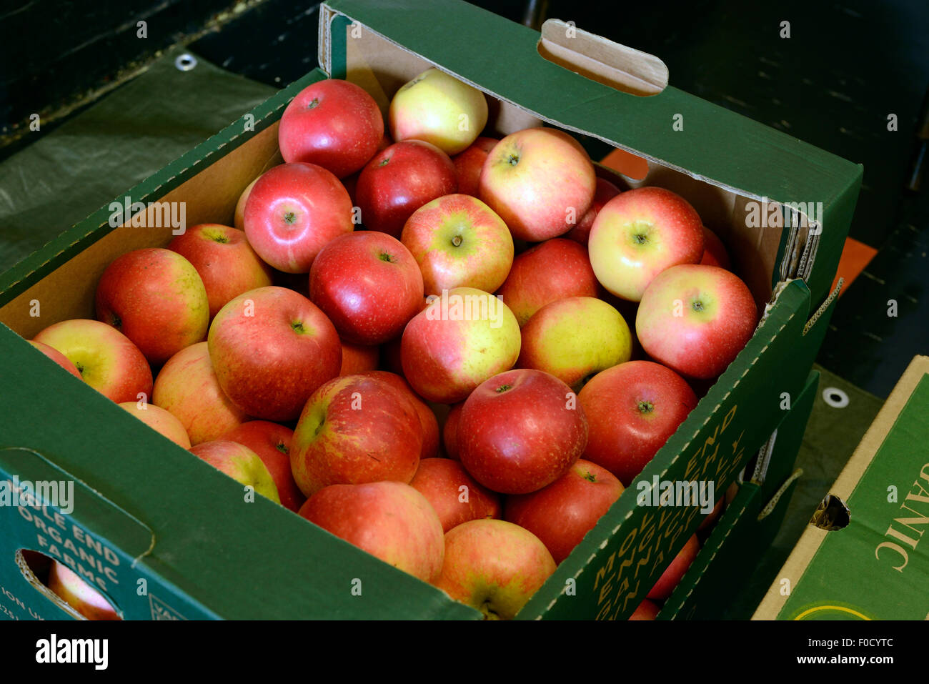 Box of apples hi-res stock photography and images - Alamy