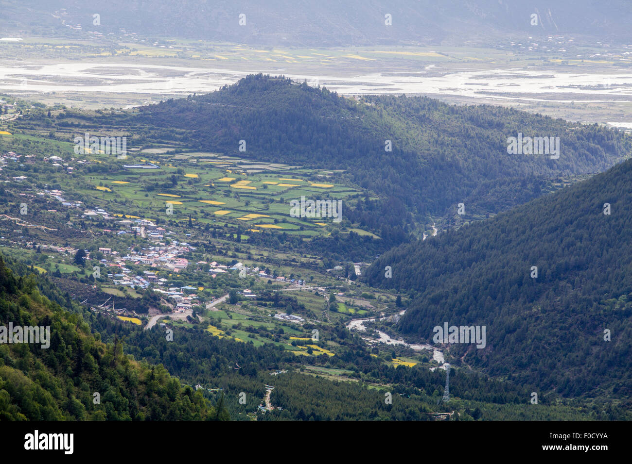 Beautiful village and trees in Tibet, China Stock Photo - Alamy