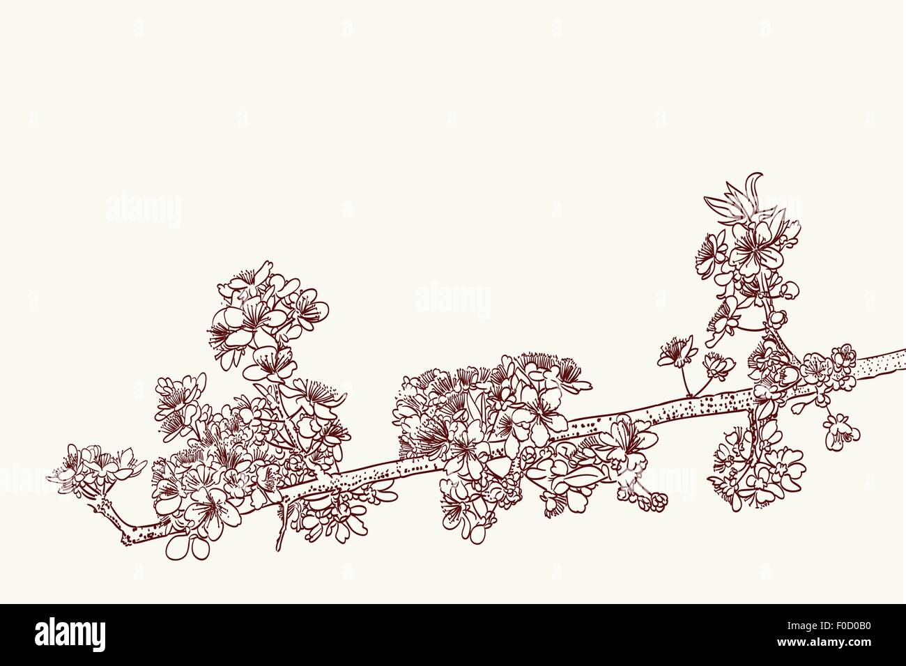 Two stylized flowers Stock Vector Images - Alamy