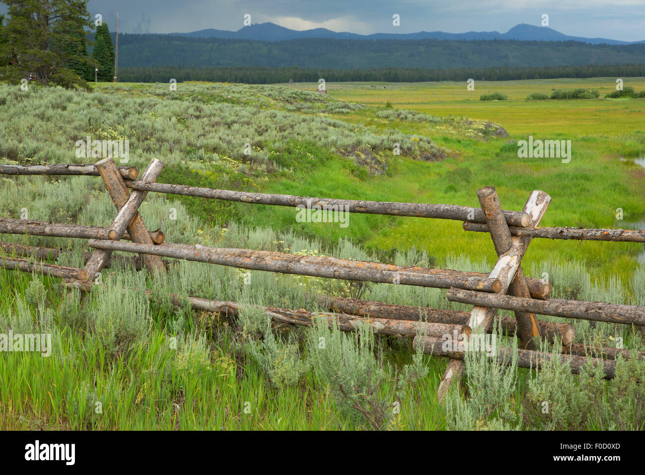 Pole fence along Ranch Loop Trail, Harriman State Park, Idaho Stock ...