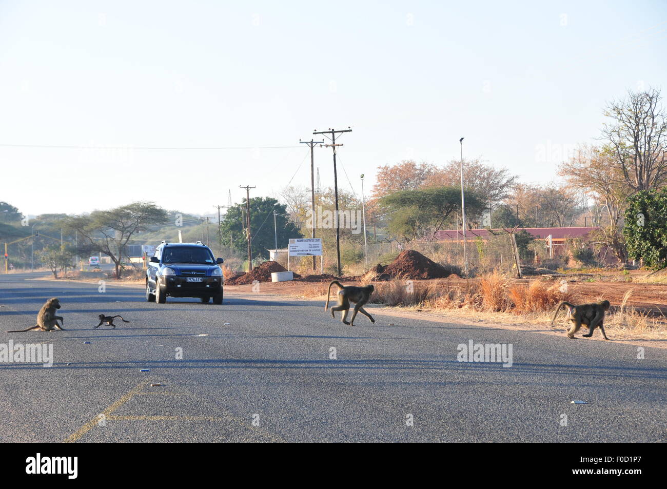 Gaborone road hi-res stock photography and images - Alamy