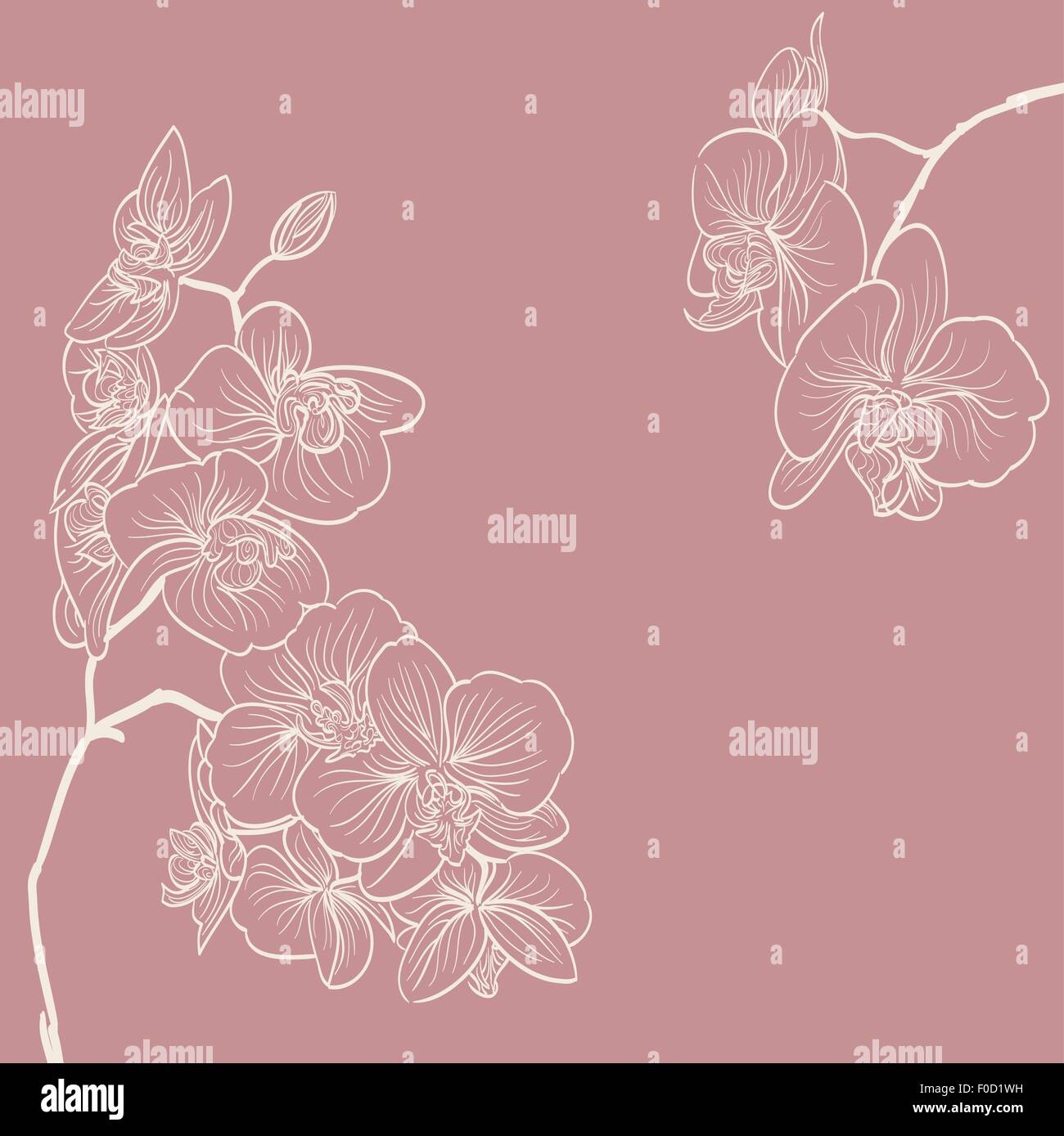 Old illustration botanical Stock Vector Images - Alamy