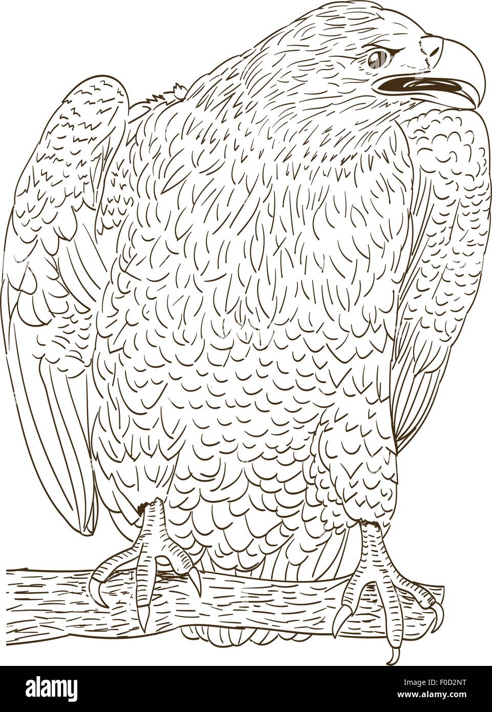 Eagle drawing hi-res stock photography and images - Alamy