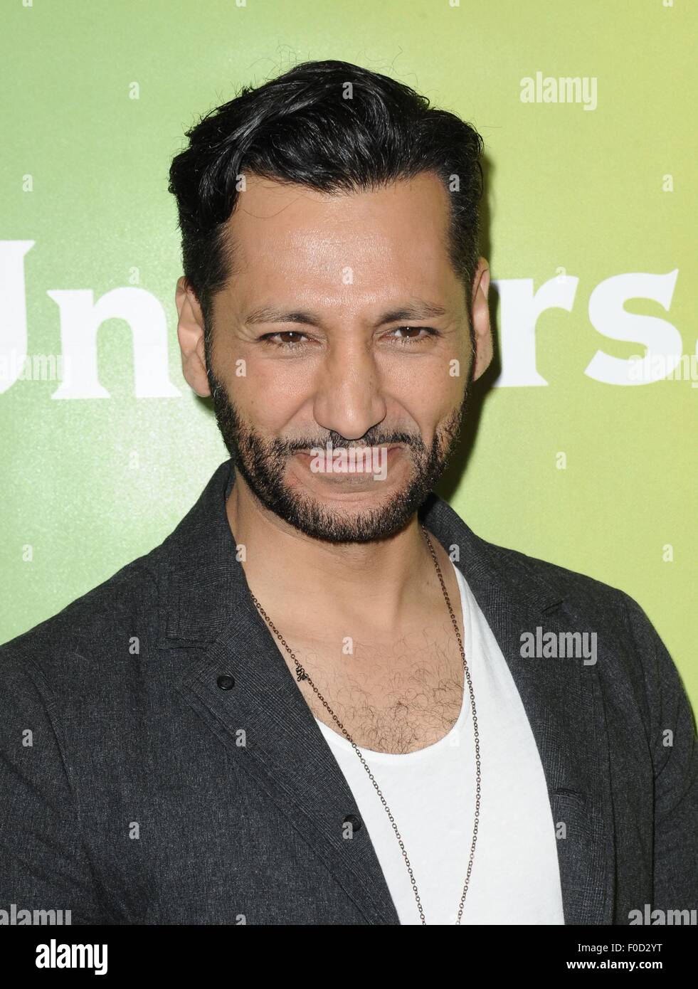 Beverly Hills, CA. 12th Aug, 2015. Cas Anvar at arrivals for TCA Summer ...