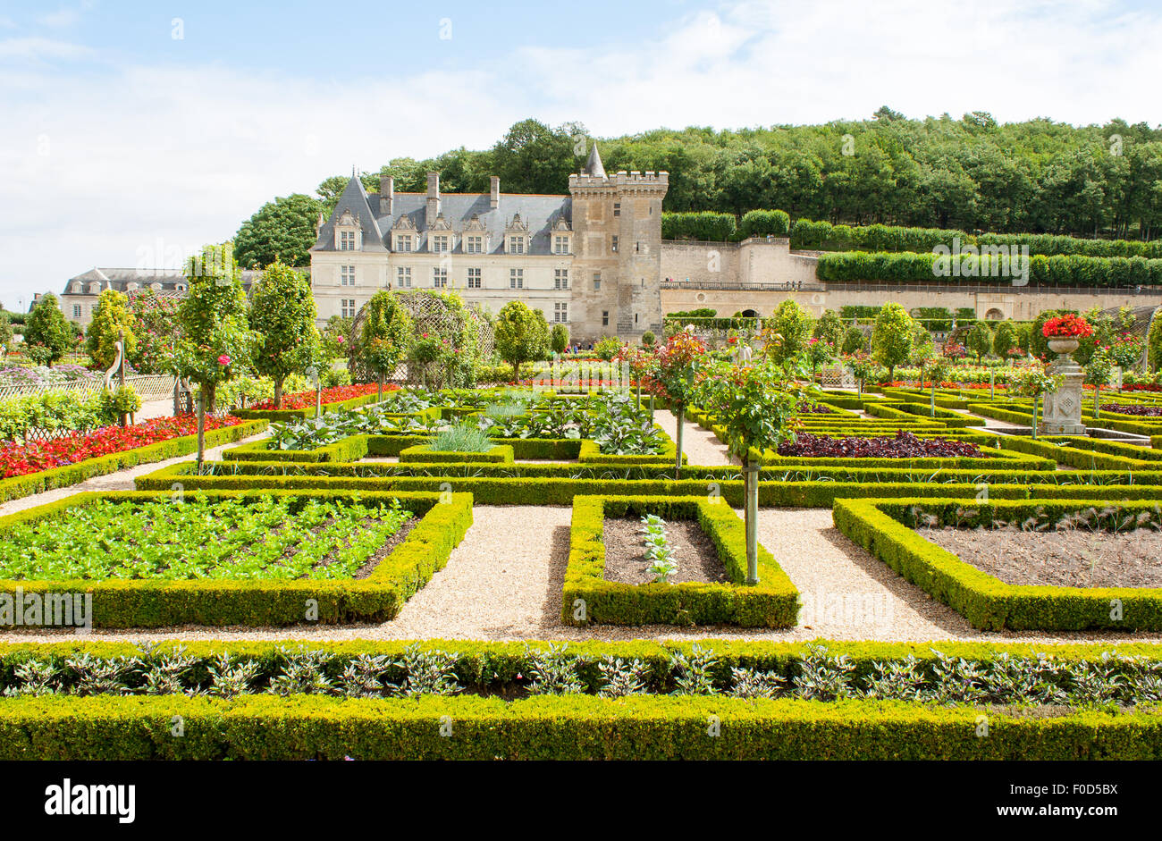 castle gardens with boxwood and vegetables and flowers Stock Photo - Alamy