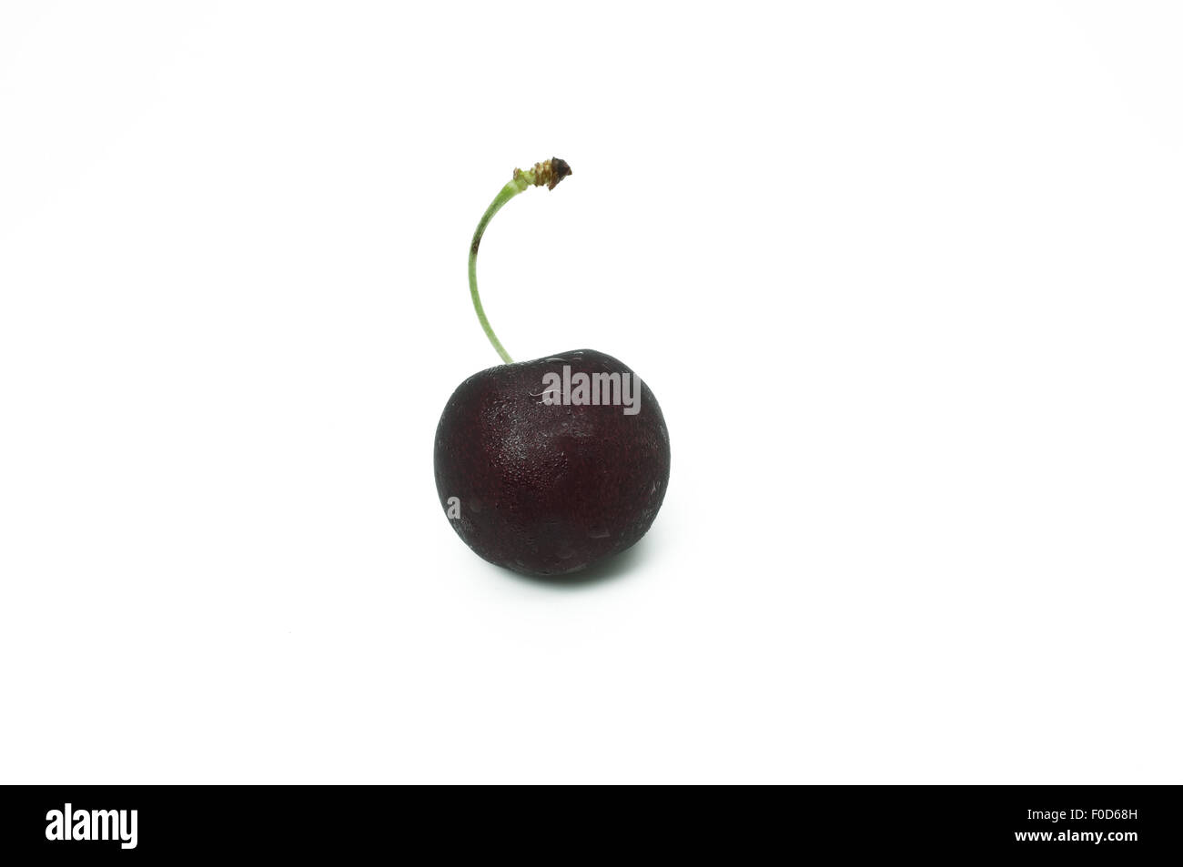 Natural and fresh cherry isolated on white background Stock Photo - Alamy