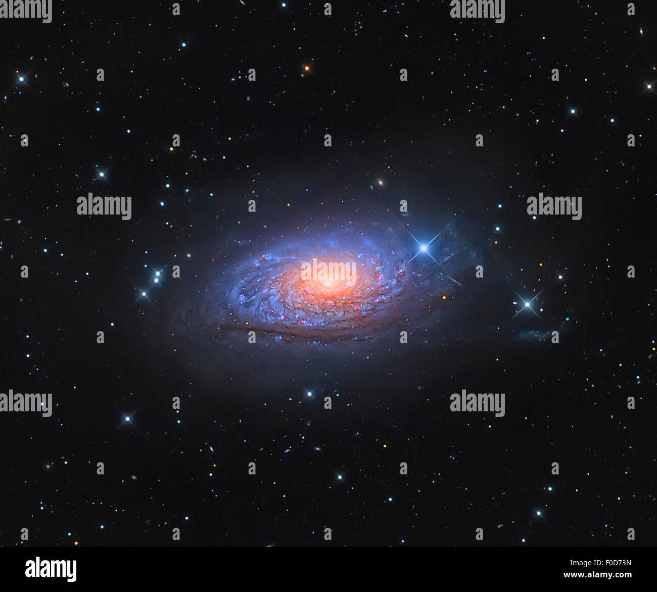 Unbarred Spiral Galaxy