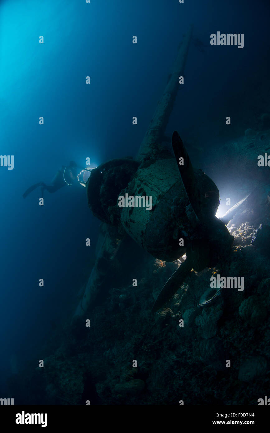 Japanese Navy Seaplane wreck lit by HMI lights with diver hovering ...