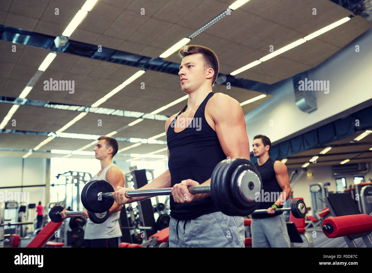 group of men flexing muscles with barbell in gym Stock Photo - Alamy