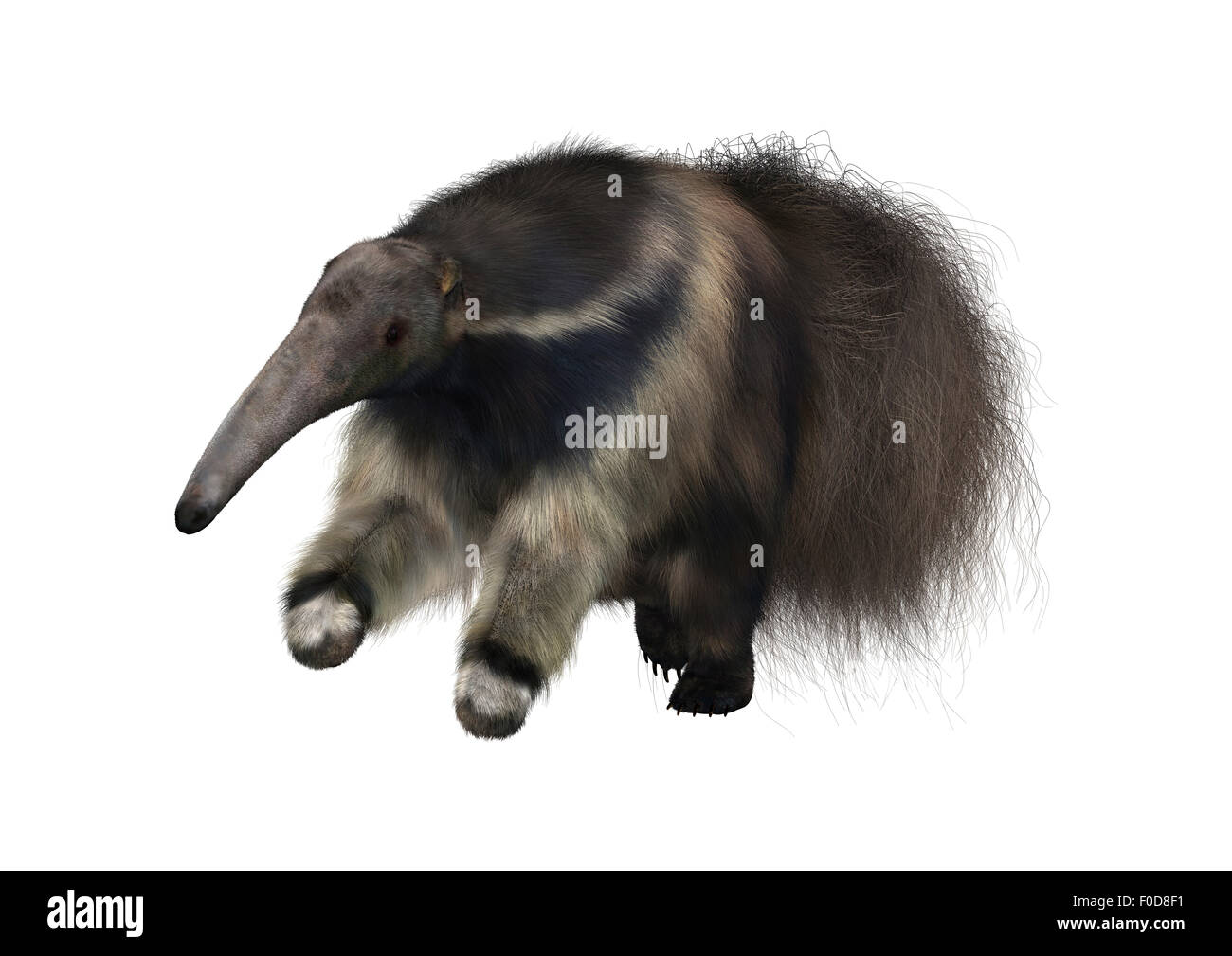 3D digital render of a giant anteater running isolated on white ...
