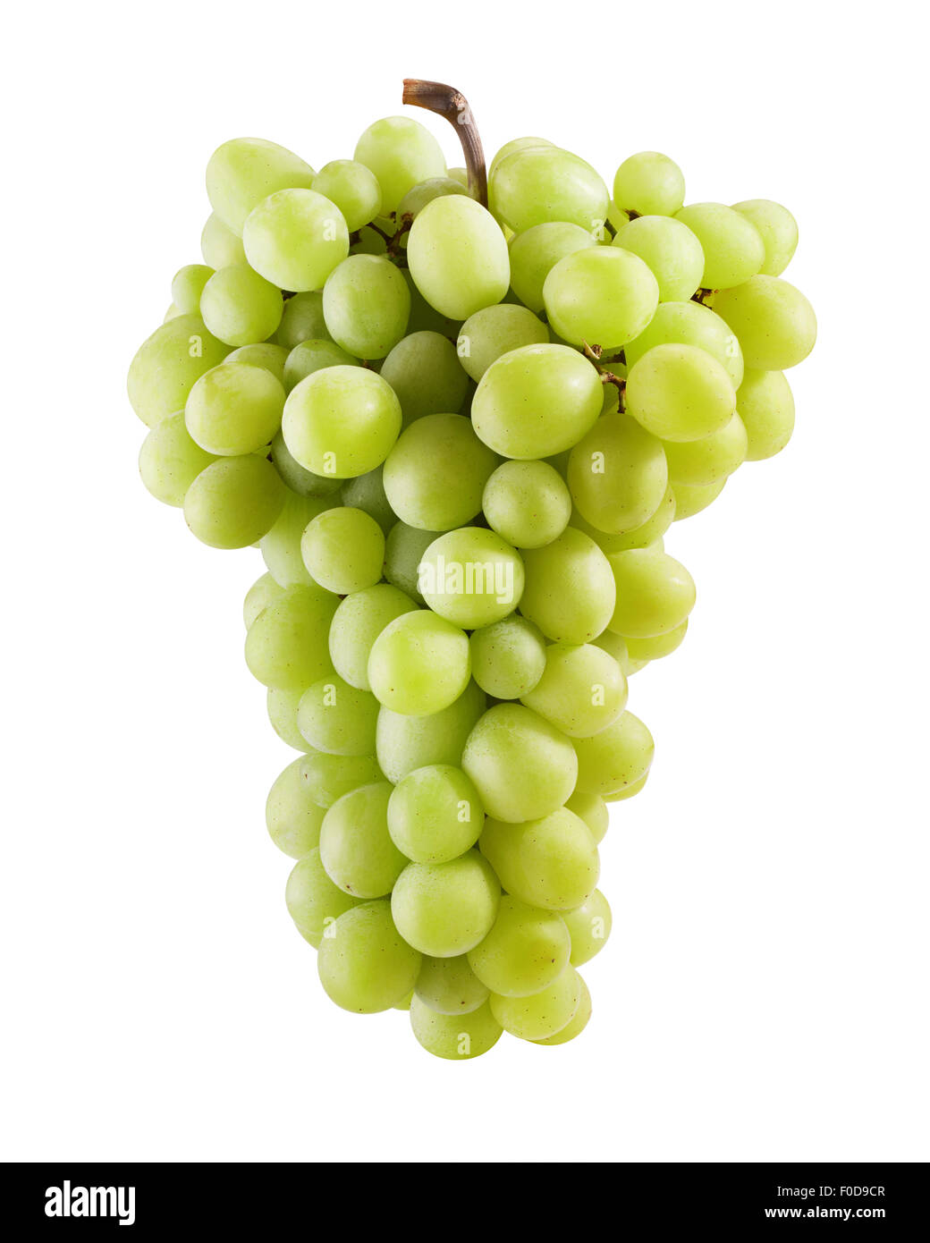 Green grape bunch isolated on white background. Clipping Path Stock ...