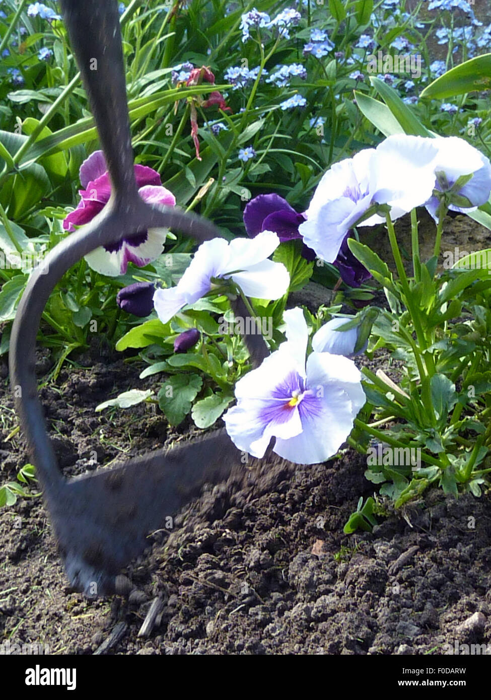 Hoe gardening hi-res stock photography and images - Alamy