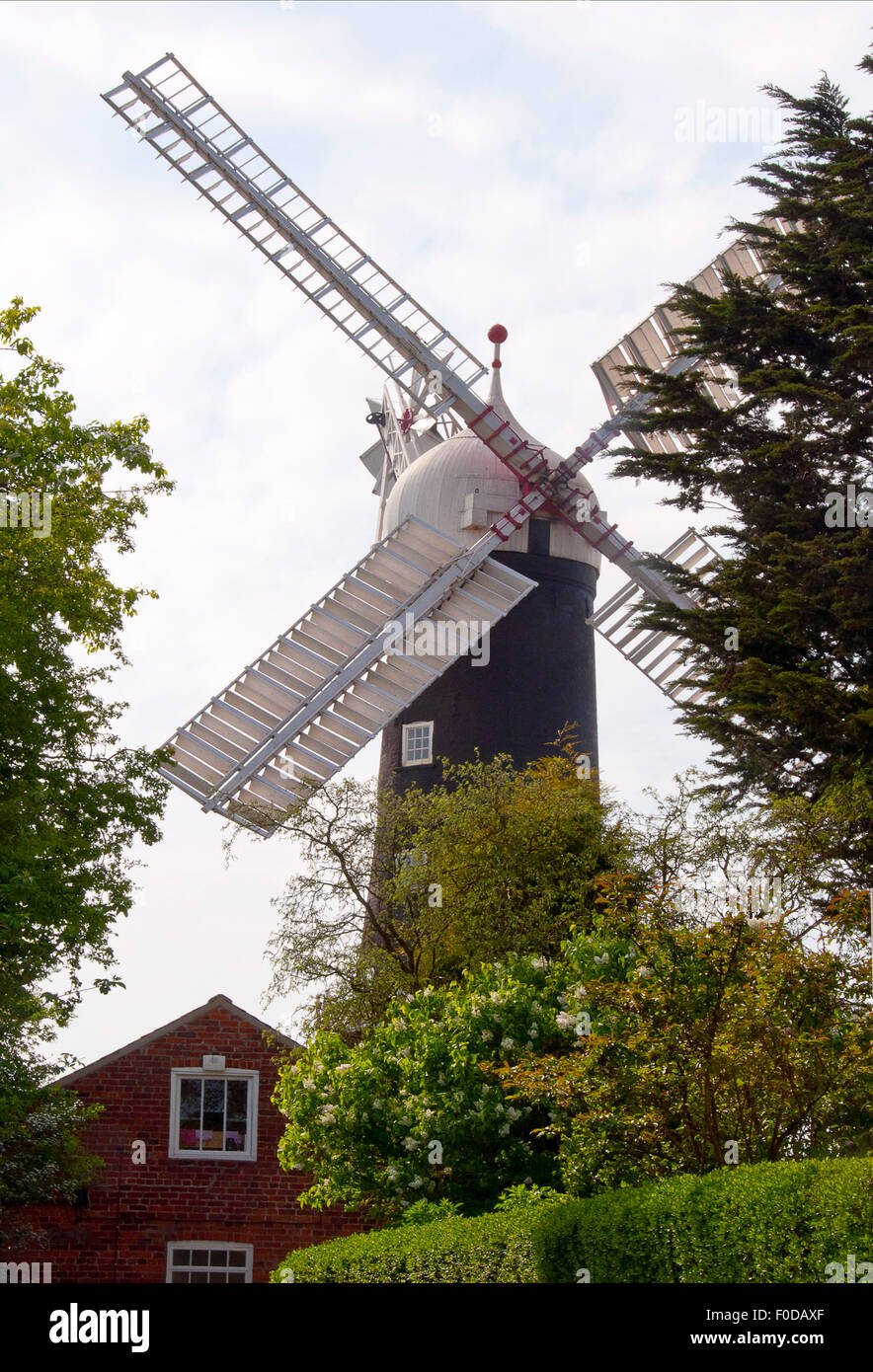 View of picturesque Skidby windmill, Yorkshire, UK Stock Photo - Alamy