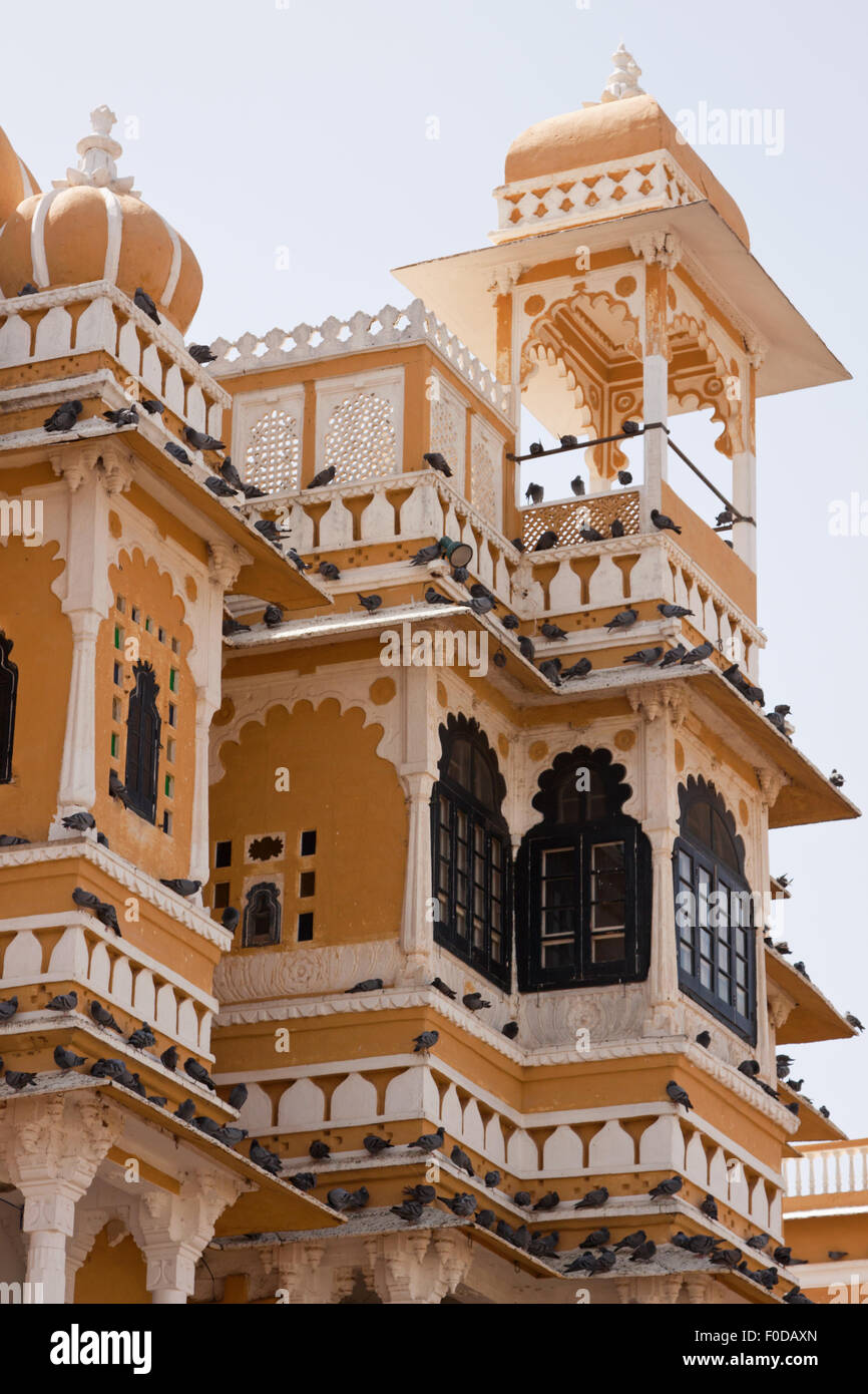 Flocks of birds roosting on the jharokhas, or overhanging balconies, of ...