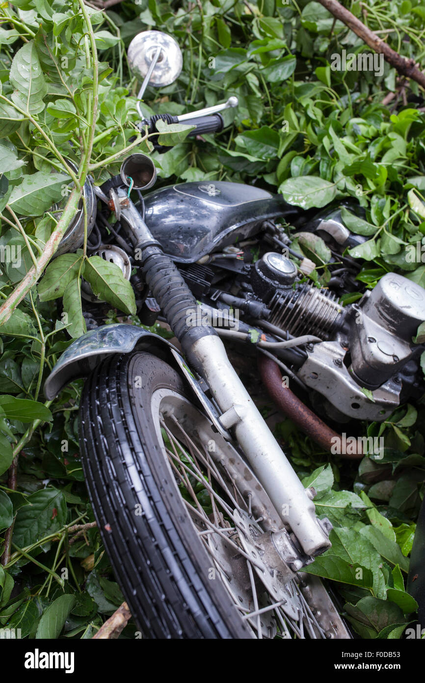 A motorcycle blown over by enormous winds from Typhoon Soudelor in ...