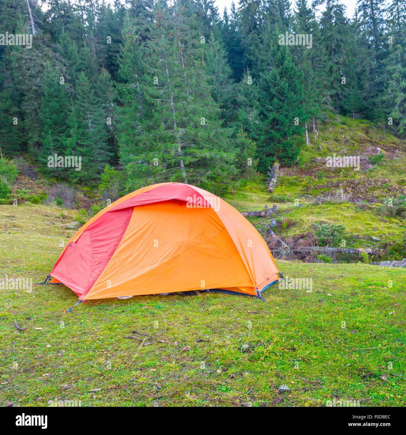 Orange camping tent in a green forest Stock Photo - Alamy