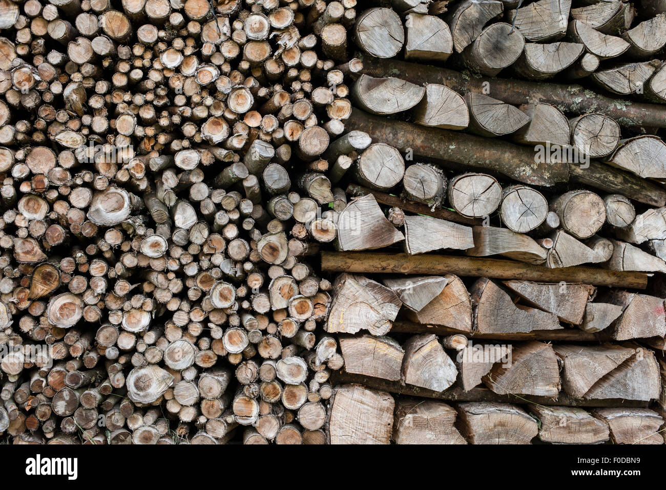 Firewood picture hi-res stock photography and images - Alamy