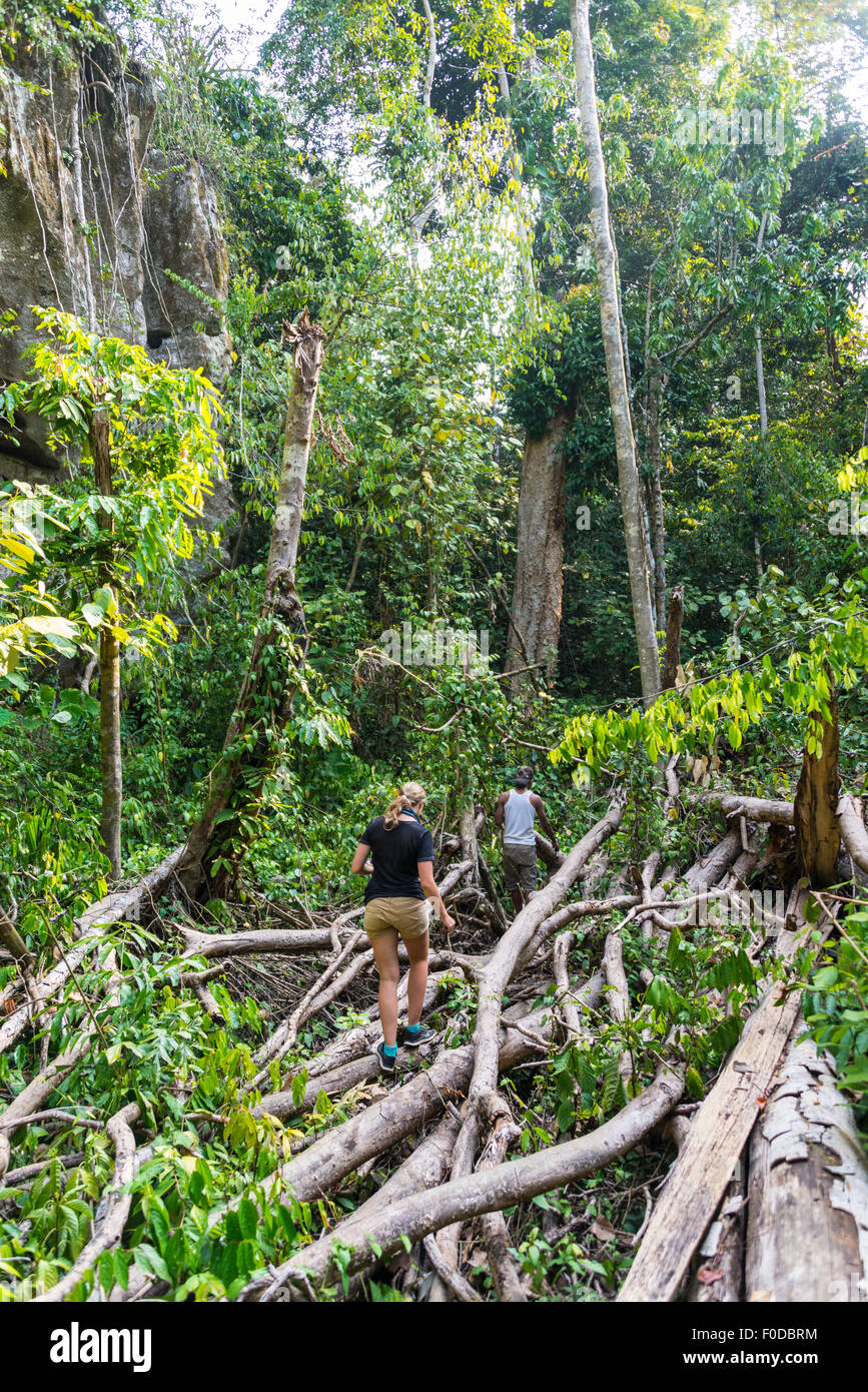 Tourist, hiker, young woman walking through branches in the jungle ...