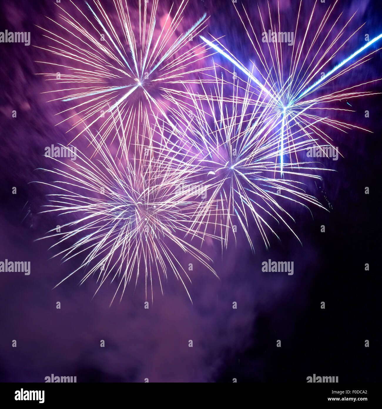 Blue colorful fireworks on the black sky background. Holiday ...