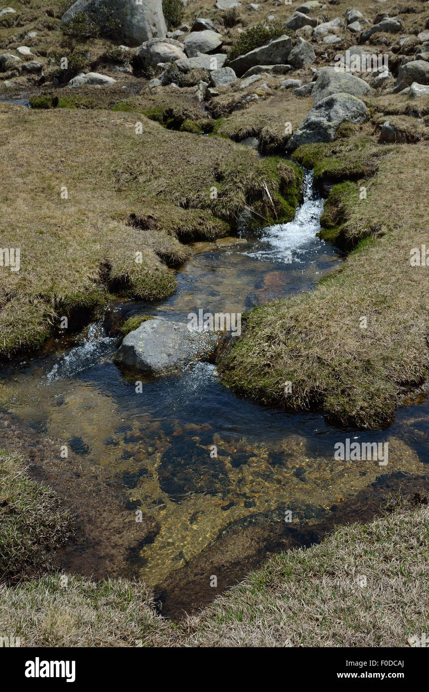 Pure spring water hi-res stock photography and images - Alamy