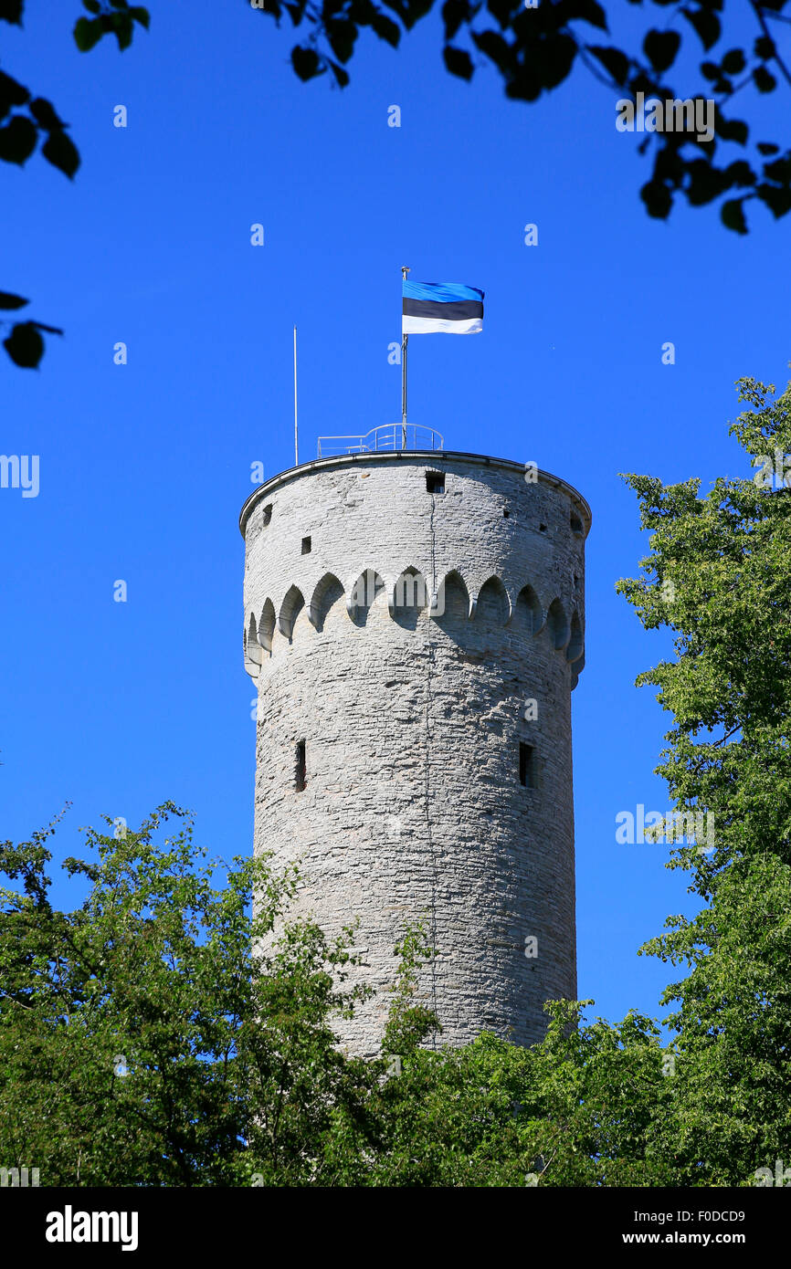 Tallinn flag hi-res stock photography and images - Alamy