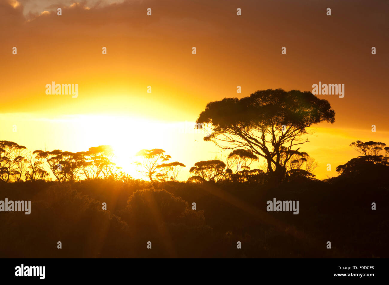 Australia outback sunset hi-res stock photography and images - Alamy