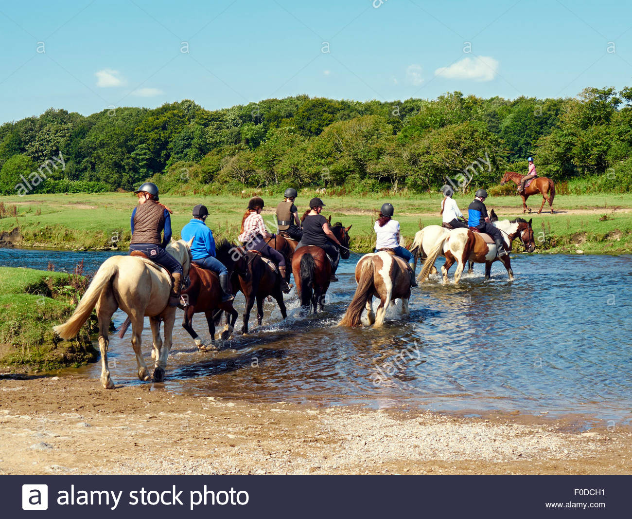 Pony Trekking In Wales Stock Photos & Pony Trekking In Wales Stock ...