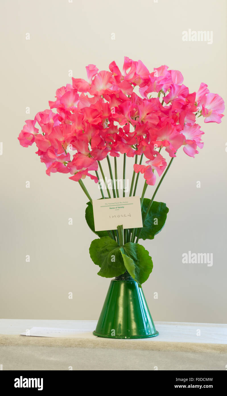 Imogen bloom hi-res stock photography and images - Alamy