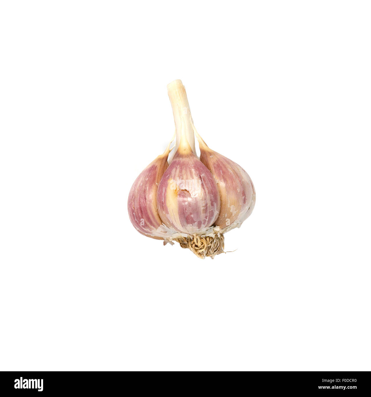 A garlic bulb isolated on white Stock Photo - Alamy